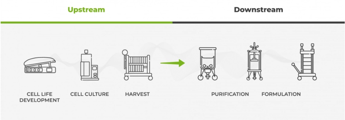 Hybrid Facilities In Biologics: A Paradigm Shift In Manufacturing ...