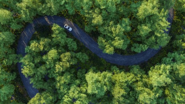 National Energy Transition Roadmap (NETR): Charting a Path to a ...